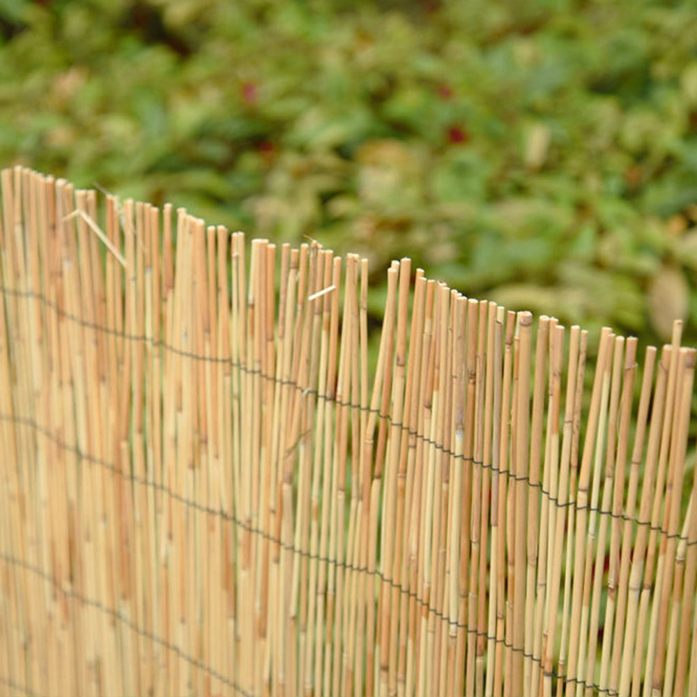 Reed Privacy Screening – Just The Job Supplies Ltd